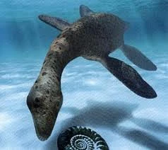 Cryptoclidus | Walking With Wikis | Fandom