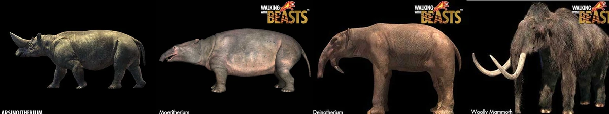 Proboscidean | Walking With Wikis | Fandom