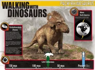 Patchi | Walking With Wikis | Fandom