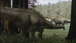 Diplodocus | Walking With Wikis | Fandom