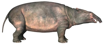 Moeritherium | Walking With Wikis | Fandom