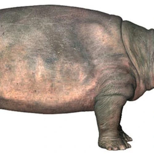 Walking With Beasts Moeritherium