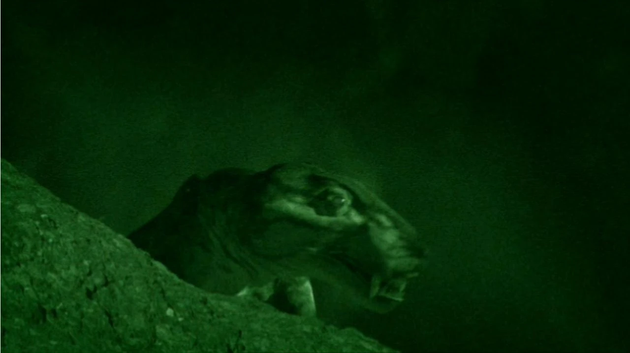 Therocephalian | Walking With Wikis | Fandom