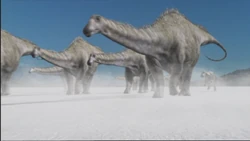 Diplodocus | Walking With Wikis | Fandom