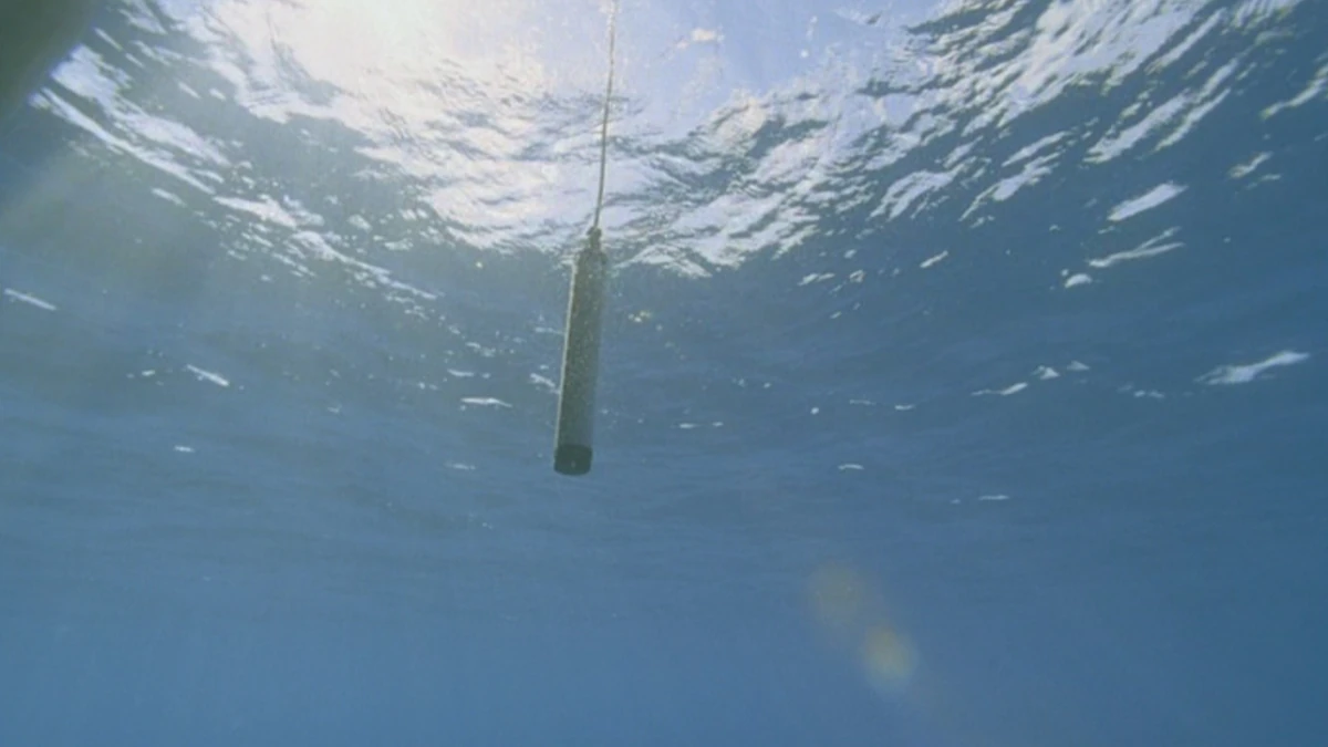 Microphone | Walking With Wikis | Fandom