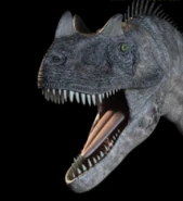 Ceratosaurus | Walking With Wikis | Fandom