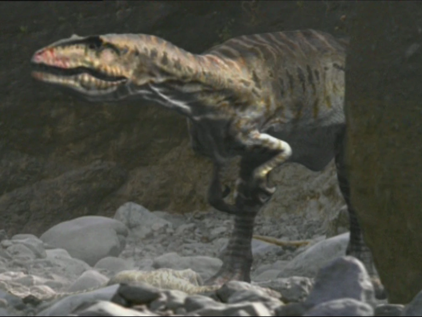Walking With Dinosaurs Giganotosaurus