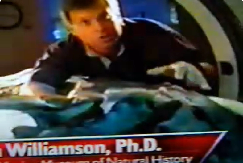 Thomas Williamson | Walking With Wikis | Fandom