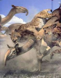 Smilodon Walking With Beasts
