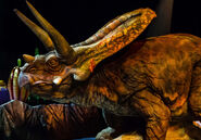 Torosaurus | Walking With Wikis | Fandom