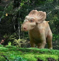 Walking With Dinosaurs Juniper