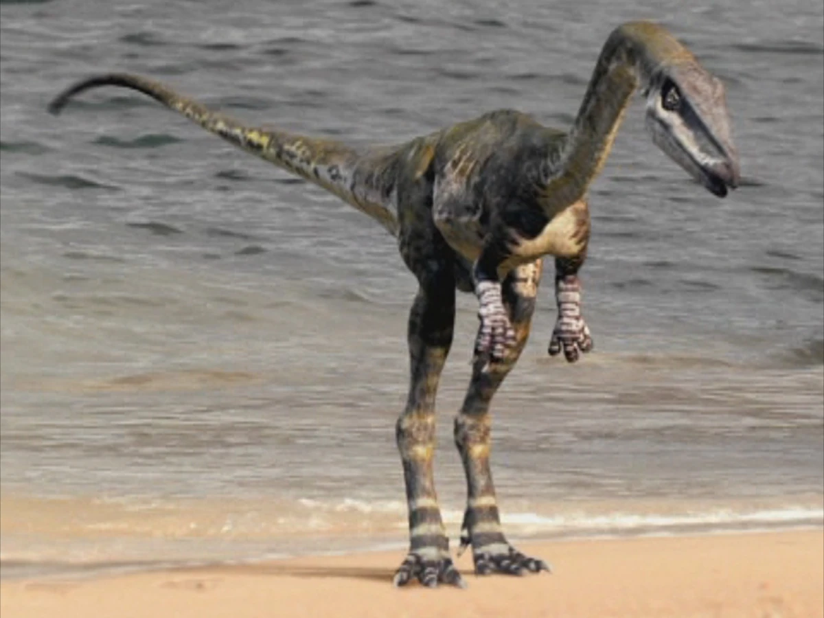 Triassic coelurosaur | Walking With Wikis | Fandom