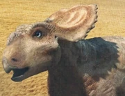 Juniper | Walking With Wikis | Fandom