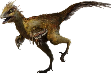 Chirostenotes Caminando Con Dinosaurios