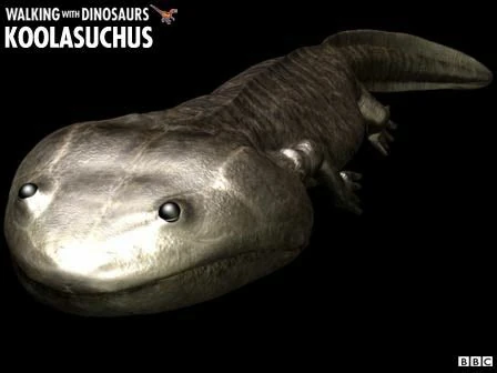 Koolasuchus | Walking With Wikis | Fandom