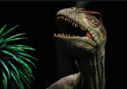 Allosaurus | Walking With Wikis | Fandom