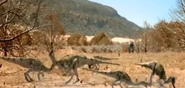 Dryosaurus | Walking With Wikis | Fandom