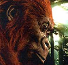 Gigantopithecus | Walking With Wikis | Fandom