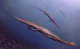 Neusticosaurus | Walking With Wikis | Fandom