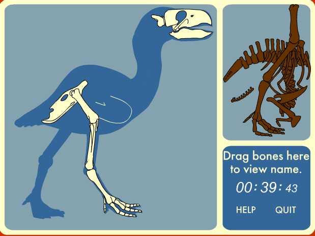 Skeleton Jigsaw | Walking With Wikis | Fandom