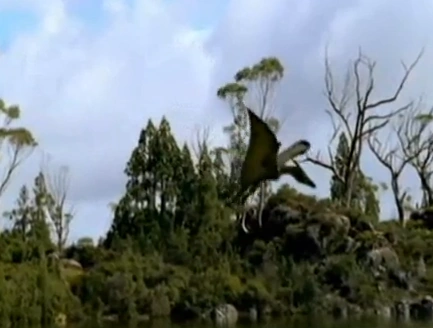 Walking With Dinosaurs Pteranodon
