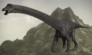 Diplodocus | Walking With Wikis | Fandom