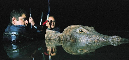 Crawley Creatures | Walking With Wikis | Fandom