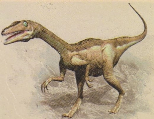 Troodon/Generation 1 | Walking With Wikis | Fandom