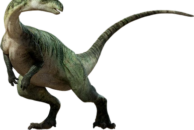 Chirostenotes Caminando Con Dinosaurios