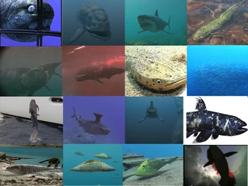 Fish | Walking With Wikis | Fandom