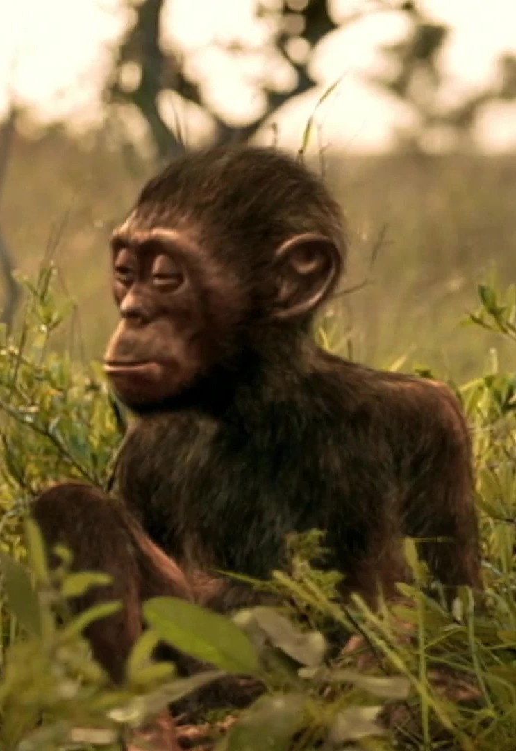 Walking With Beasts Australopithecus