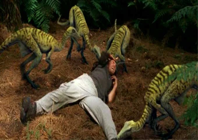 Mei long | Walking with Dinosaurs Wiki | Fandom