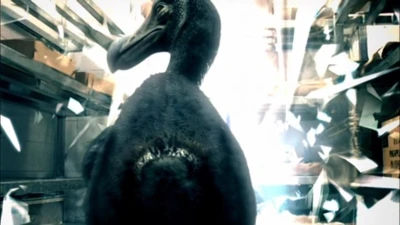 Dodo | Walking with Dinosaurs Wiki | Fandom