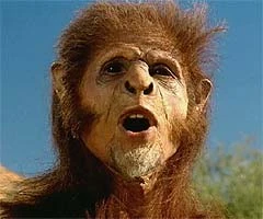 Homo habilis | Walking with Dinosaurs Wiki | Fandom