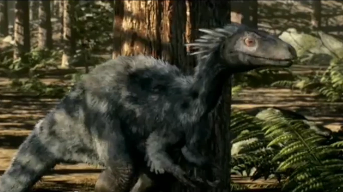 Patch | Walking with Dinosaurs Wiki | Fandom