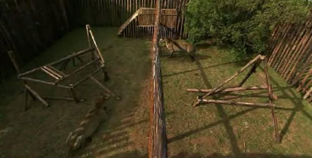 Prehistoric Park | Walking with Dinosaurs Wiki | Fandom