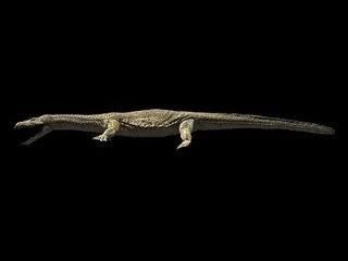 Nothosaurus | Walking with Dinosaurs Wiki | Fandom