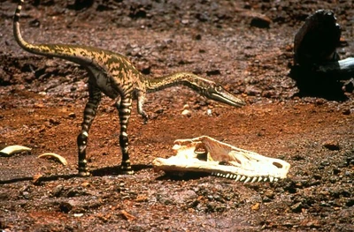 Coelophysis | Walking with Dinosaurs Wiki | Fandom