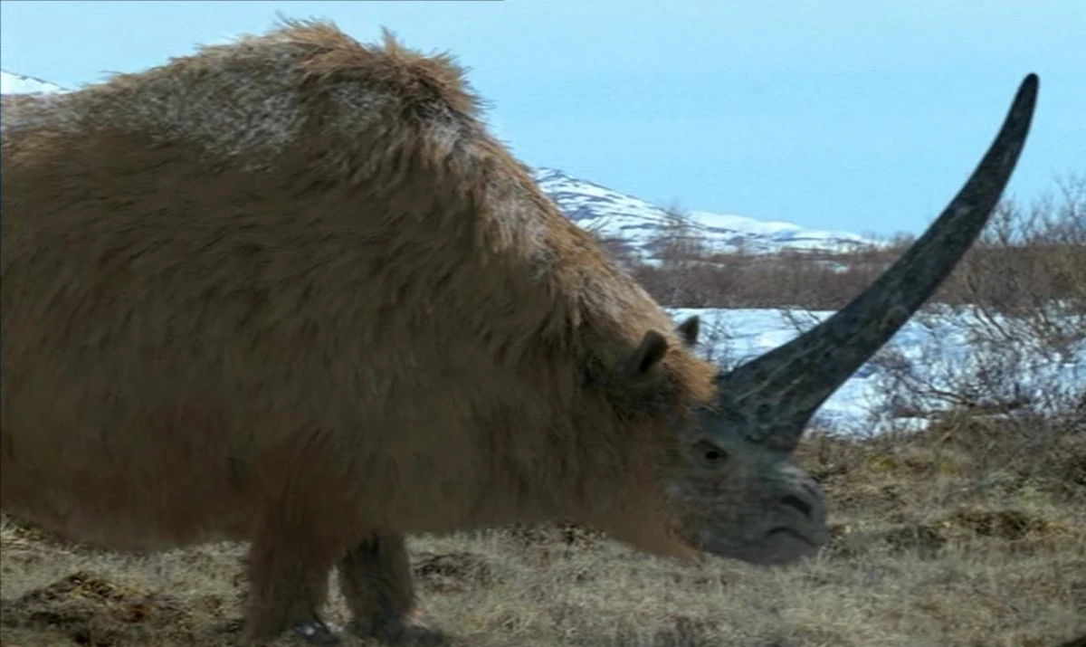 Elasmotherium | Walking With... Wiki | Fandom