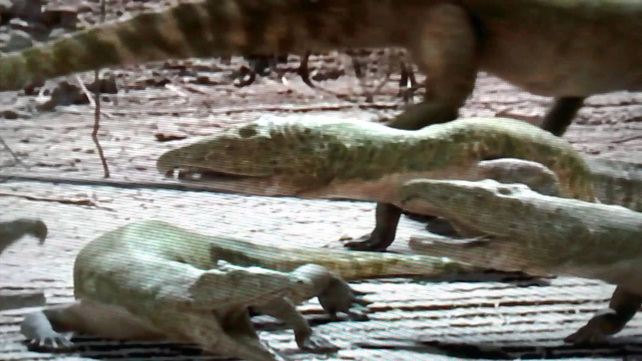 Proterosuchus Walking With Monsters