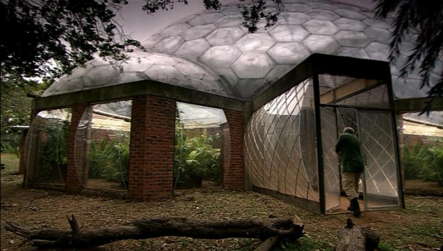 Bug House | Walking with... Wiki | Fandom