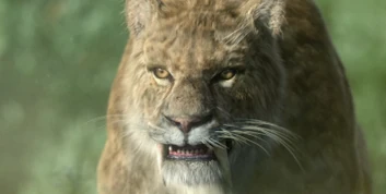 Smilodon | Walking with... Wiki | Fandom