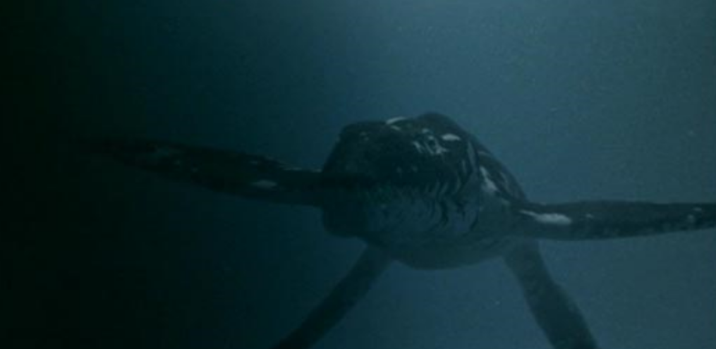 Liopleurodon Walking With Wiki Fandom