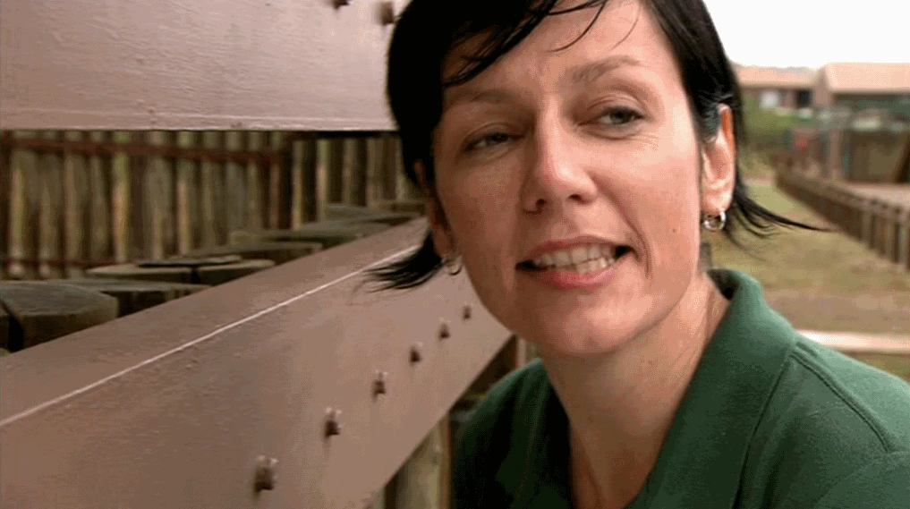 Walking with... Wiki:Workshop/Suzanne McNabb | Walking with... Wiki ...