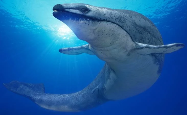 Basila | Walking with Trilogy Wiki | Fandom