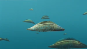 Haikouichthys | Walking with Trilogy Wiki | Fandom