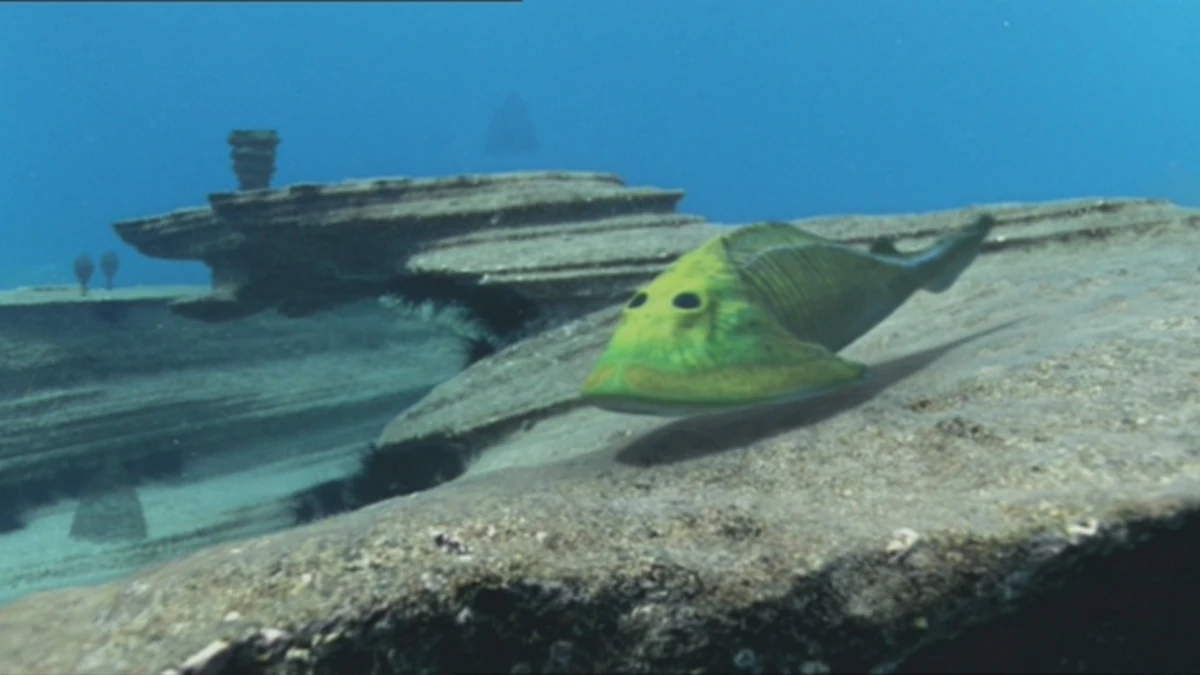 Cephalaspis | Walking with Trilogy Wiki | Fandom