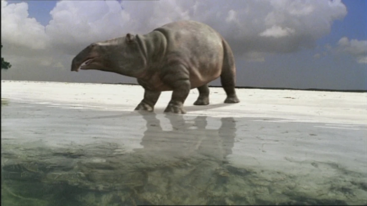 Moeritherium | Walking with Trilogy Wiki | Fandom