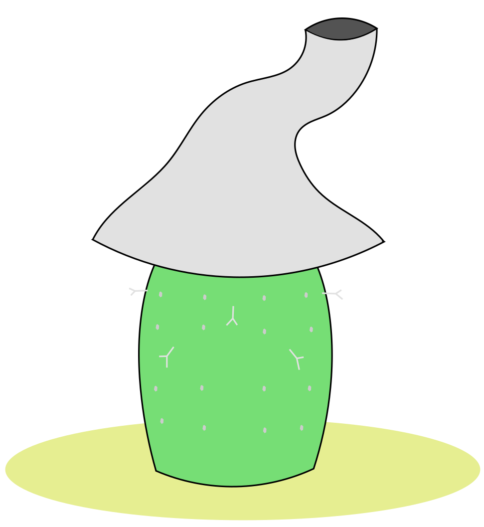 Tecticerafrons | Wallace II Ben G Thomas Wiki | Fandom