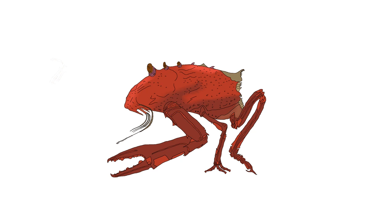 Clodus crura | Wallace II Ben G Thomas Wiki | Fandom